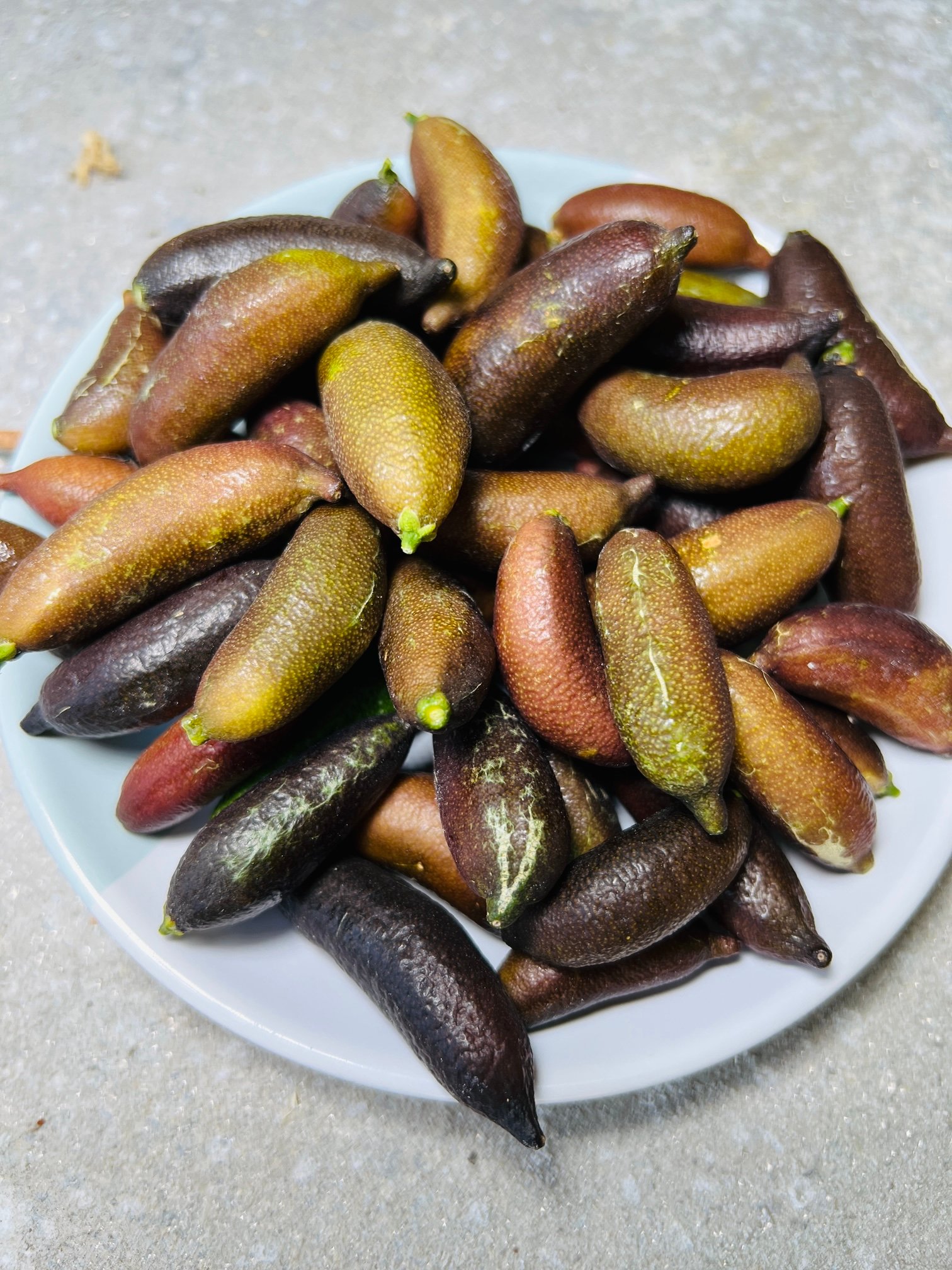 Pickled Finger Lime Caviar - Marzi's Garden