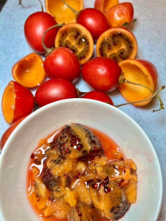 How To Make Tamarillo Salsa From Homegrown Tree Tomatoes - Marzi's Garden